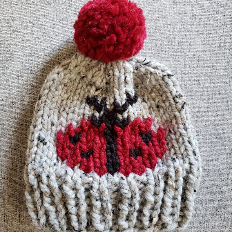 Lady Bug Hat Etsy