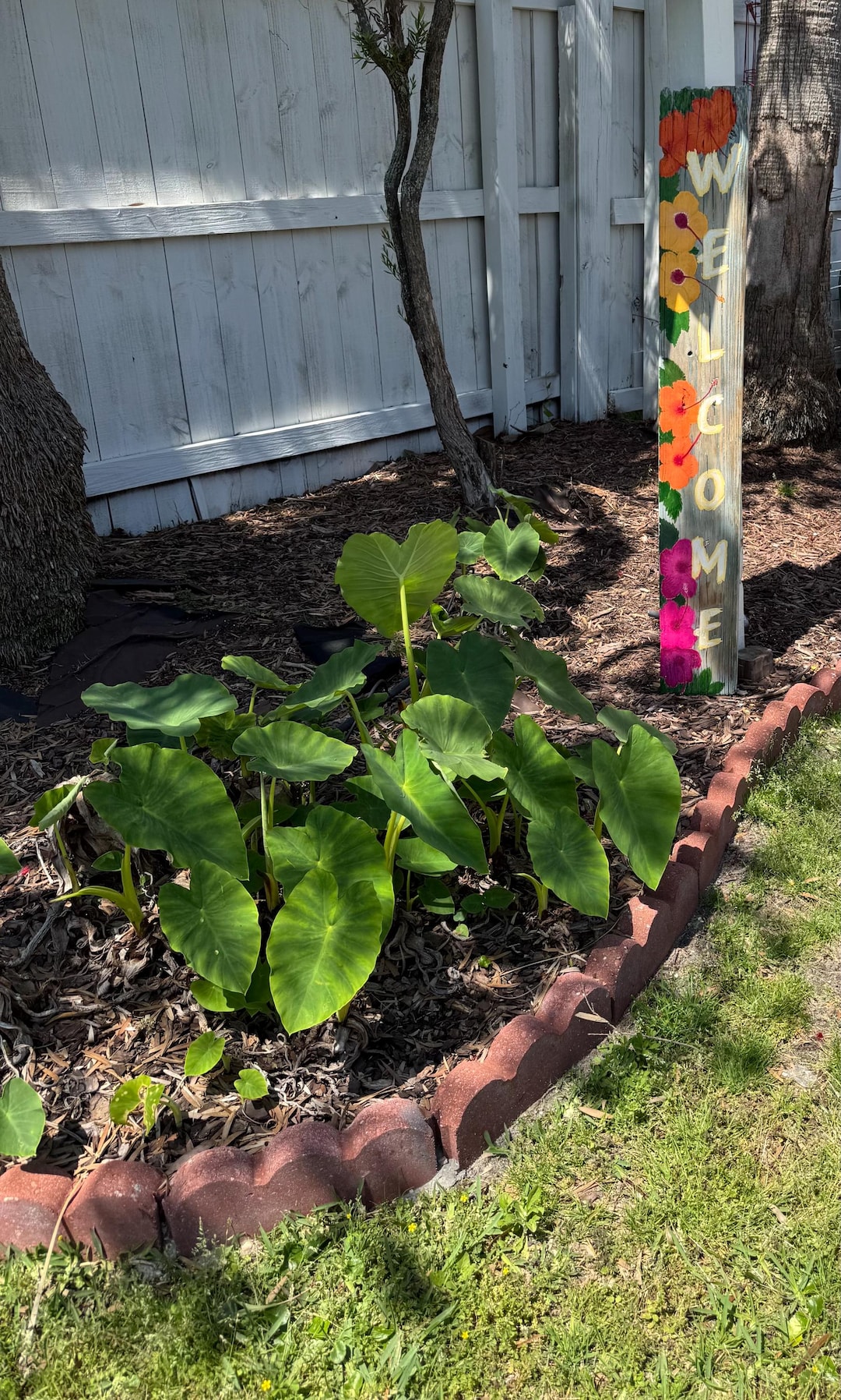 Tropical Welcome Sign| Weathered Wood | Reclaimed Wood| Hibiscus ...