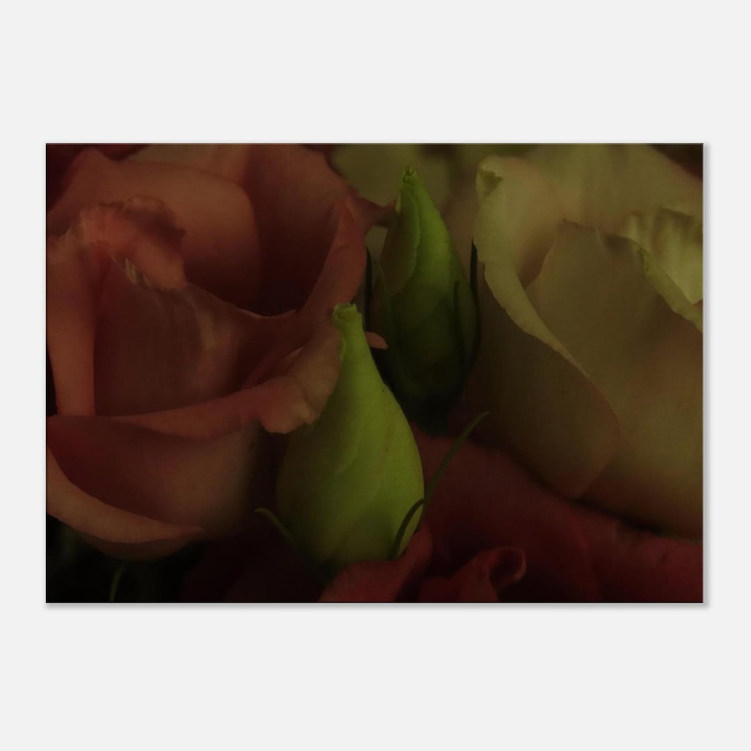 Whispers of Rose Canvas - Etsy