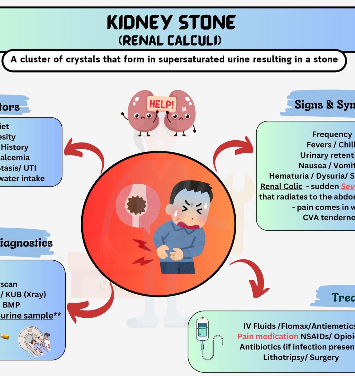 Kidney Stone Quick Study Sheet - Etsy