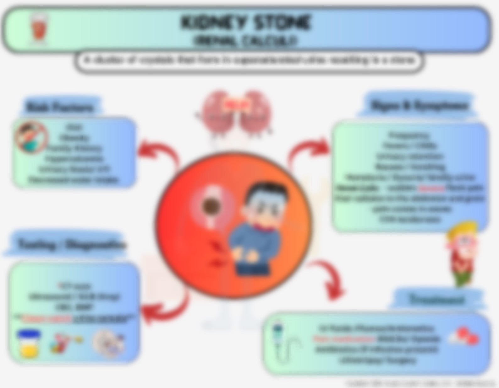 Kidney Stone Quick Study Sheet - Etsy