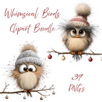 10 Funny Whimsical Birds Clipart, Cute Bird Clipart, High Quality Jpgs ...