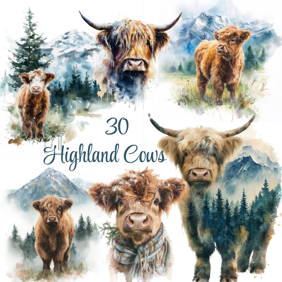 30 Highland Cows Png’s, Beautiful Barnyard Pictures, Digital Download ...