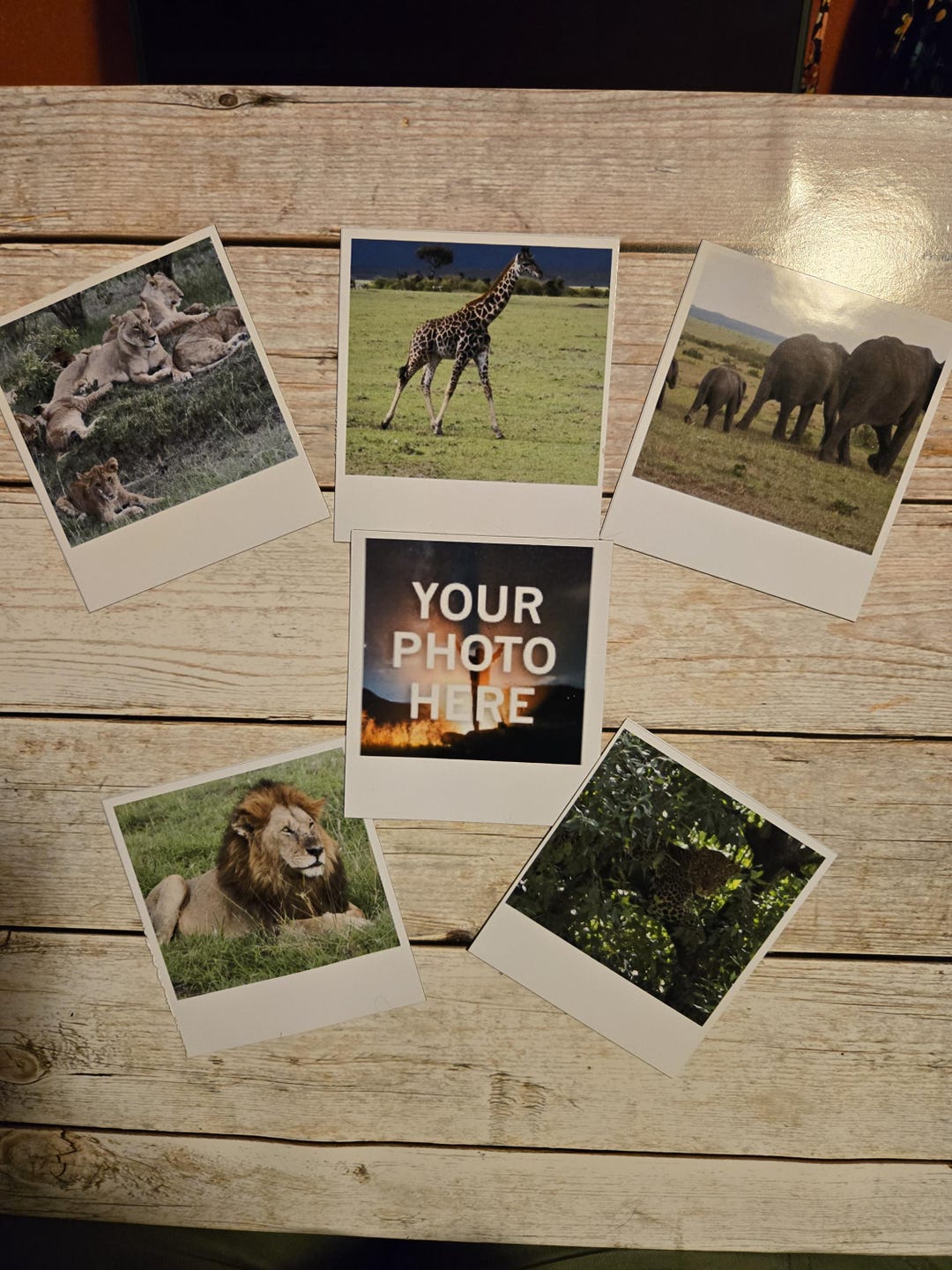 Custom Polaroid Fridge Magnets / Custom Photo Print / Picture Keepsakes ...