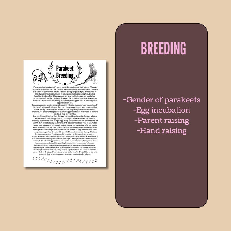 Parakeet Budgie Care Guide - Printable PDF - Etsy Australia