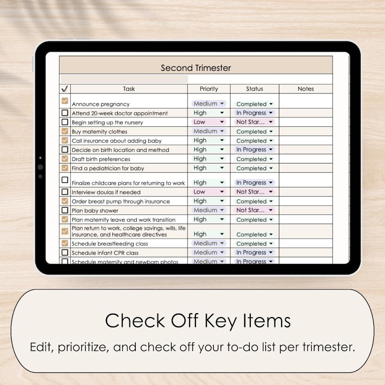 Pregnancy Checklist by Trimester Google Sheets, Baby Planner ...