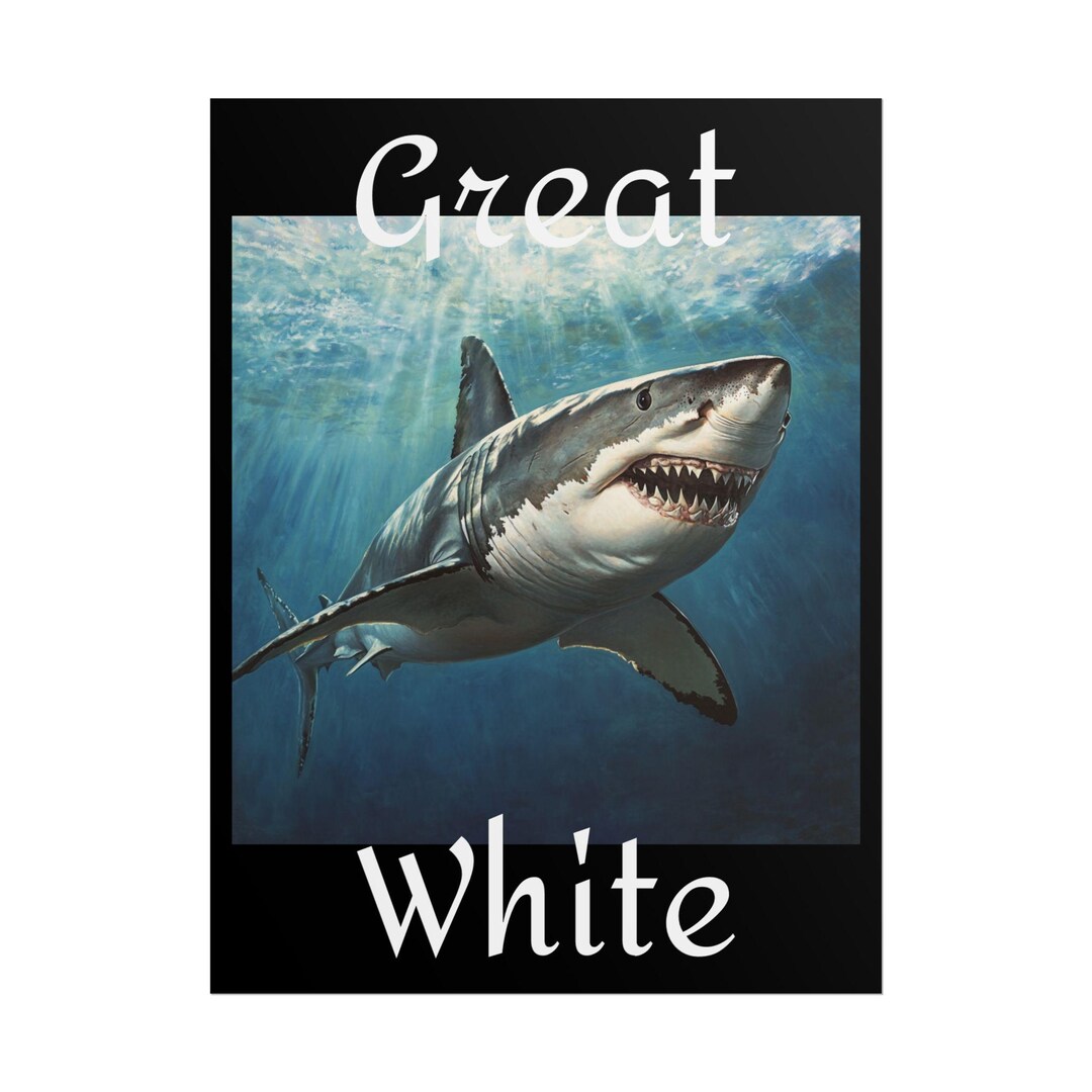Great White Shark Rolled Posters, Ocean Wall Art, Shark Lover Decor ...