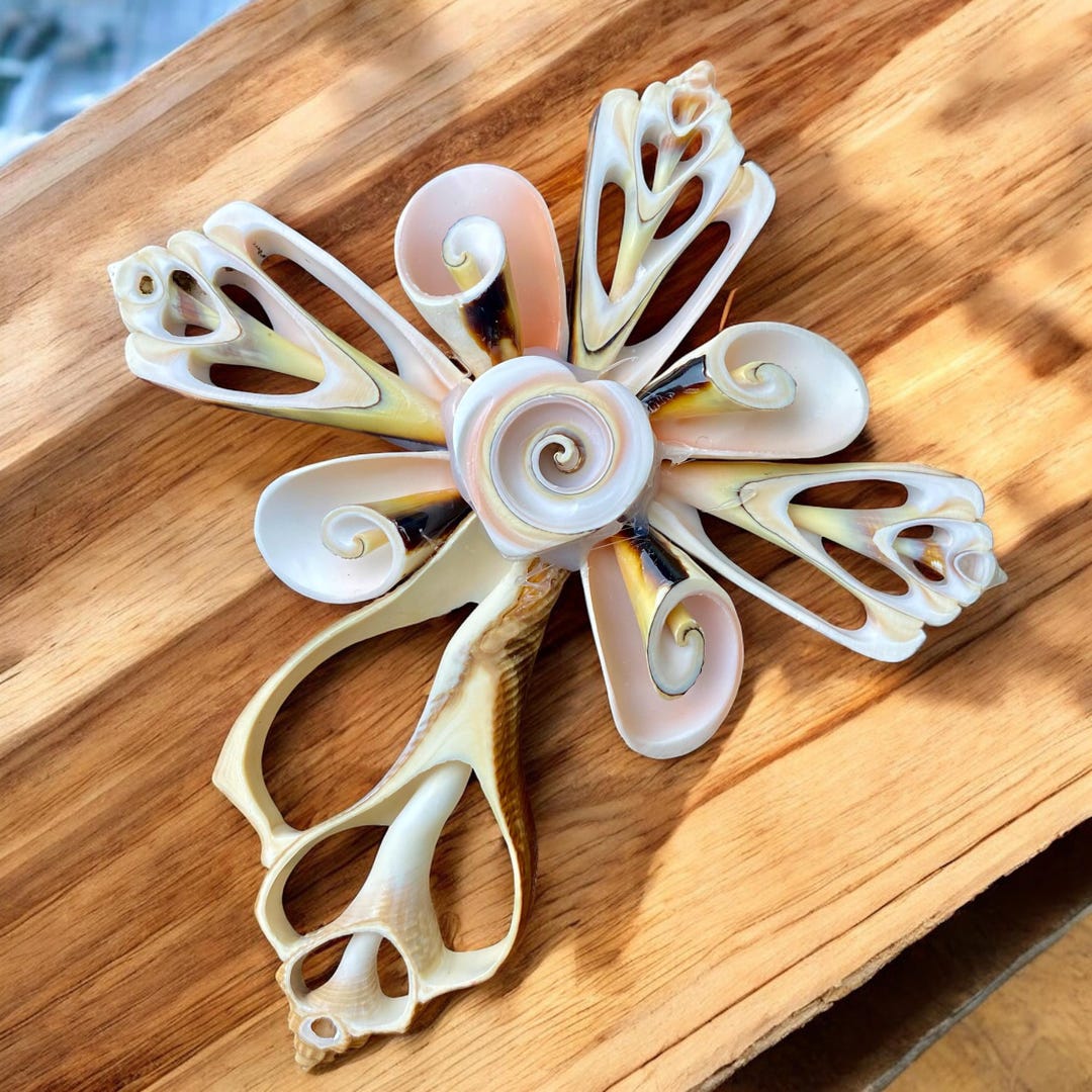 5'' X 6'' Handmade Seashell Cross | Natural Shell Christian Décor ...