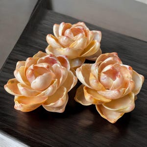 3 Colorful Sea Shell Flowers Beach Wedding Decor, Seashell Flowers ...