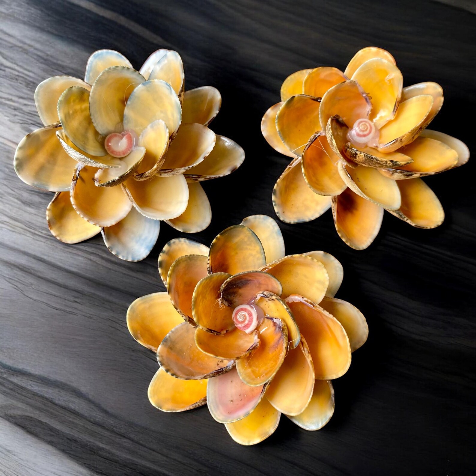 3 Colorful Sea Shell Flowers Beach Wedding Decor, Seashell Flowers ...