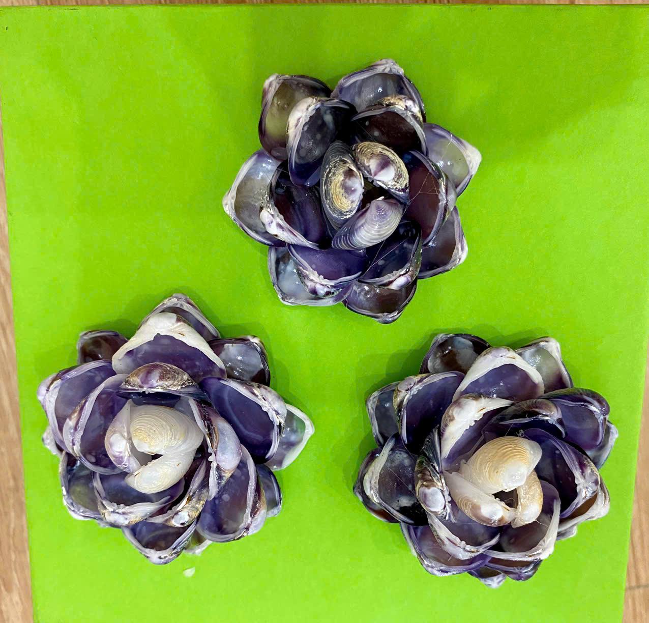 3 Colorful Sea Shell Flowers Beach Wedding Decor, Seashell Flowers ...