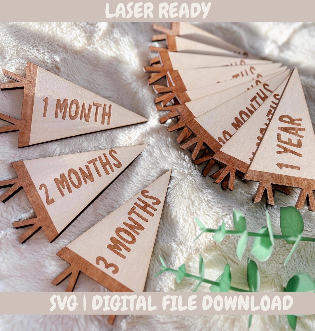 Pennant Baby Milestone Markers SVG File | Monthly Milestone Discs ...
