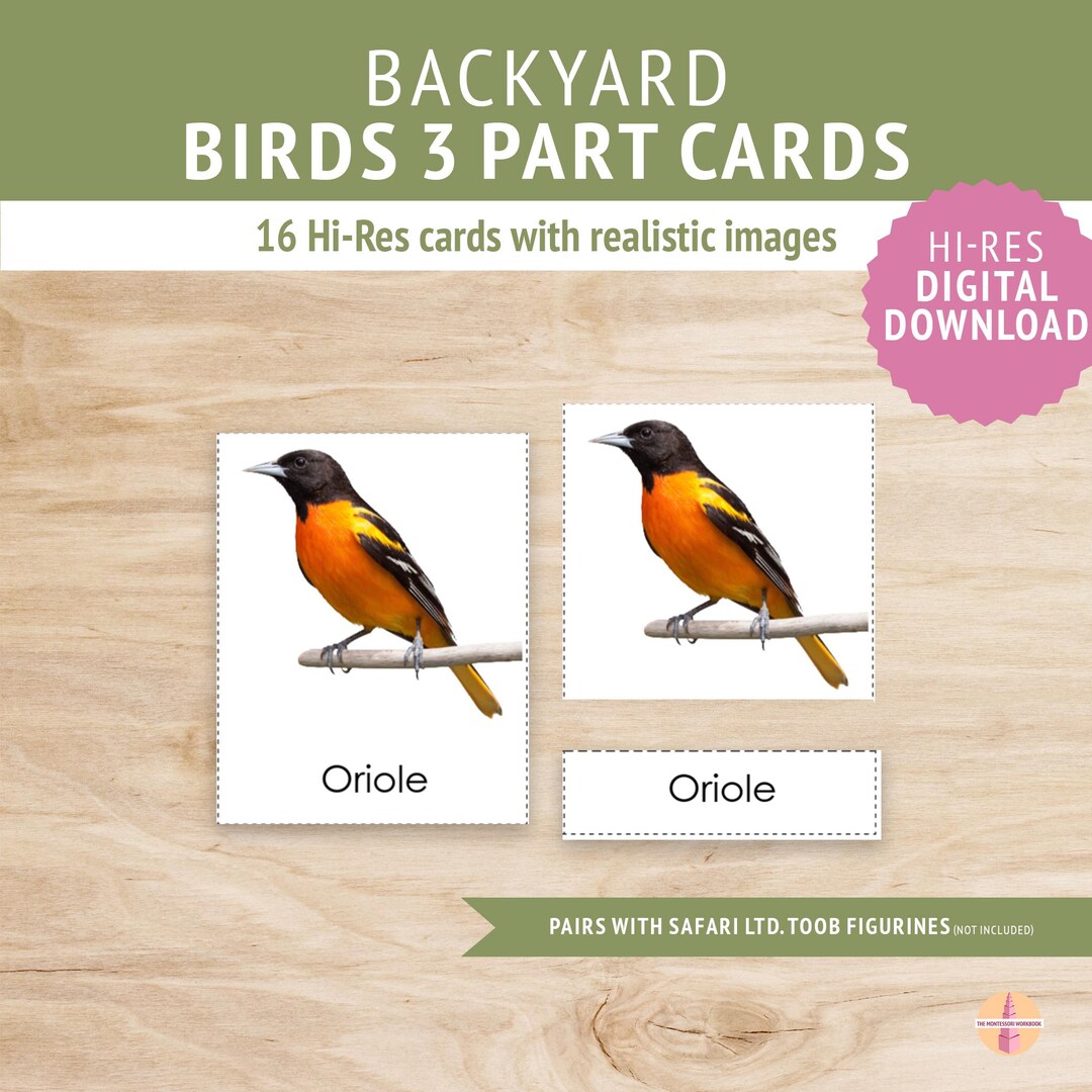 Montessori Backyard Birds 3-part Cards - Etsy UK