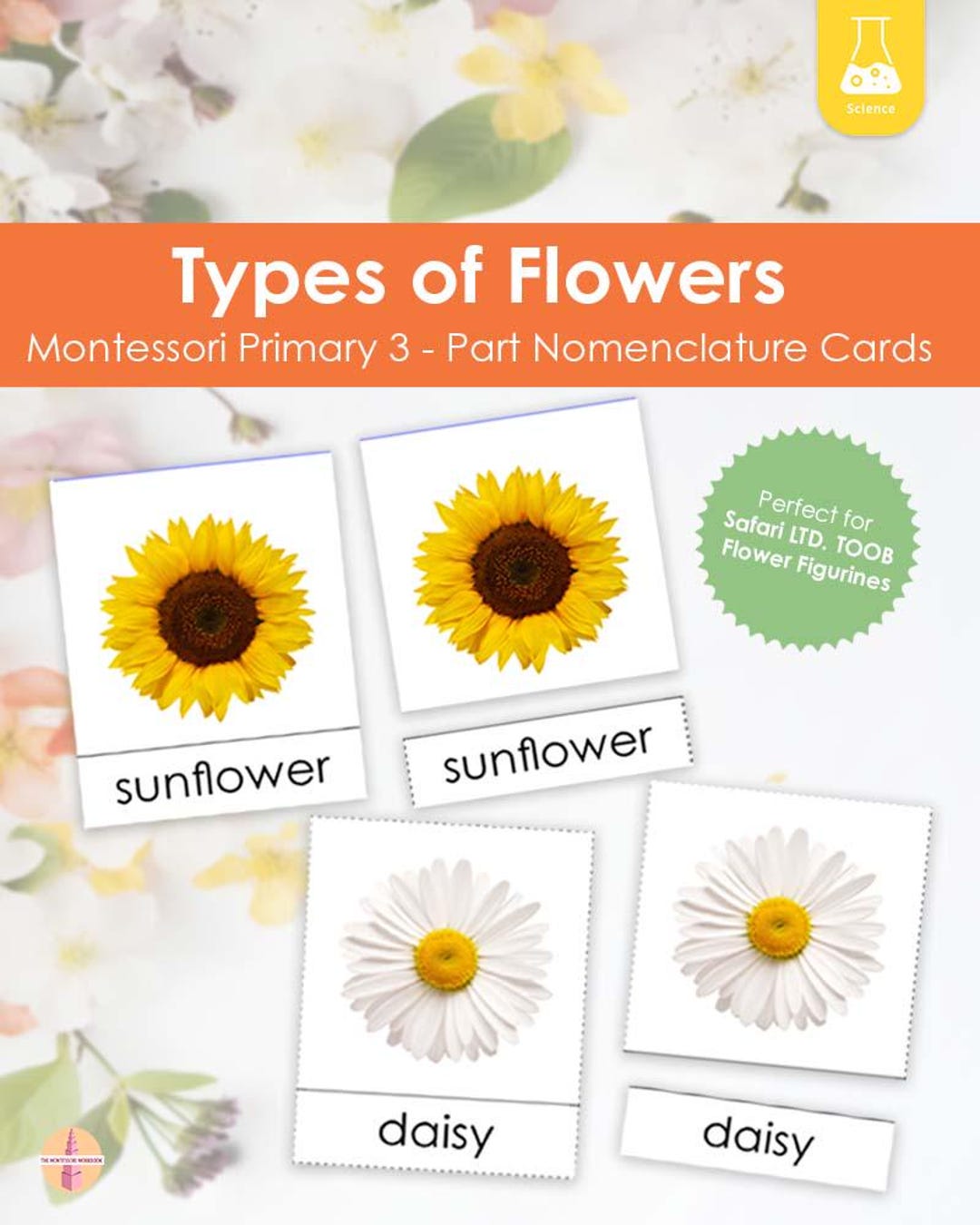 Montessori Flower 3-part Cards: Botanical Learning Tool - Etsy