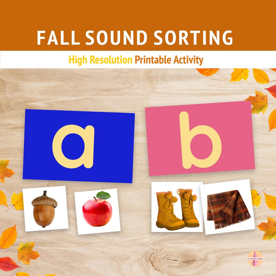 Sound Sorting Cards-fall-themed Montessori Activity - Etsy