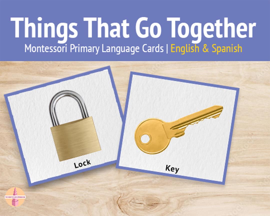 Montessori Language Cards : Things That Go Together - Etsy