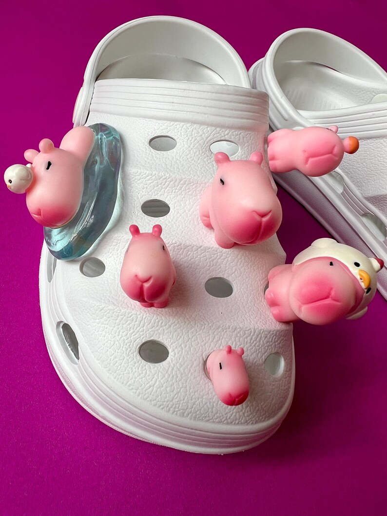 6 Pcs Pink 3D Capybara Family Shoe Charms – Cute DIY Accessories for ...