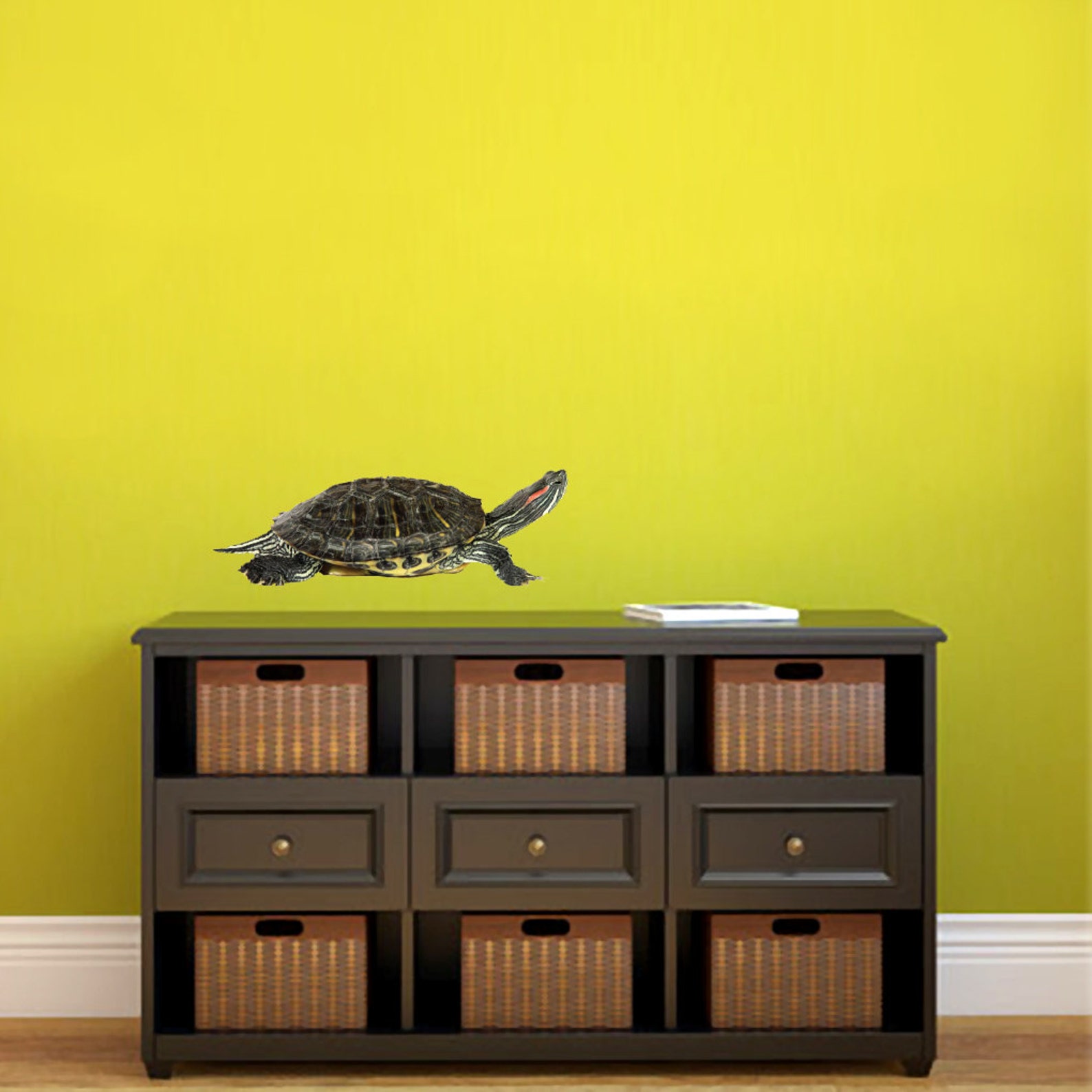 Real Life Turtle Wall Decal Decorative Art Decor Sticker for - Etsy