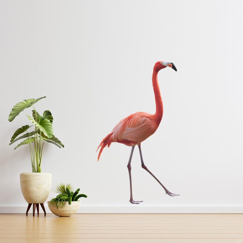 Flamingo Wall Decals - Etsy