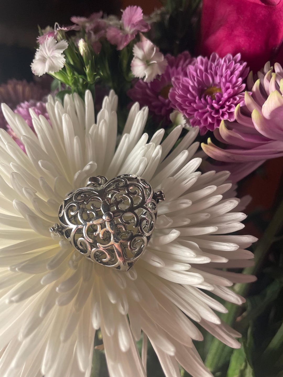 Tannis Root Herbal Necklaces From Rosemary's Baby, Actual Witchcraft ...