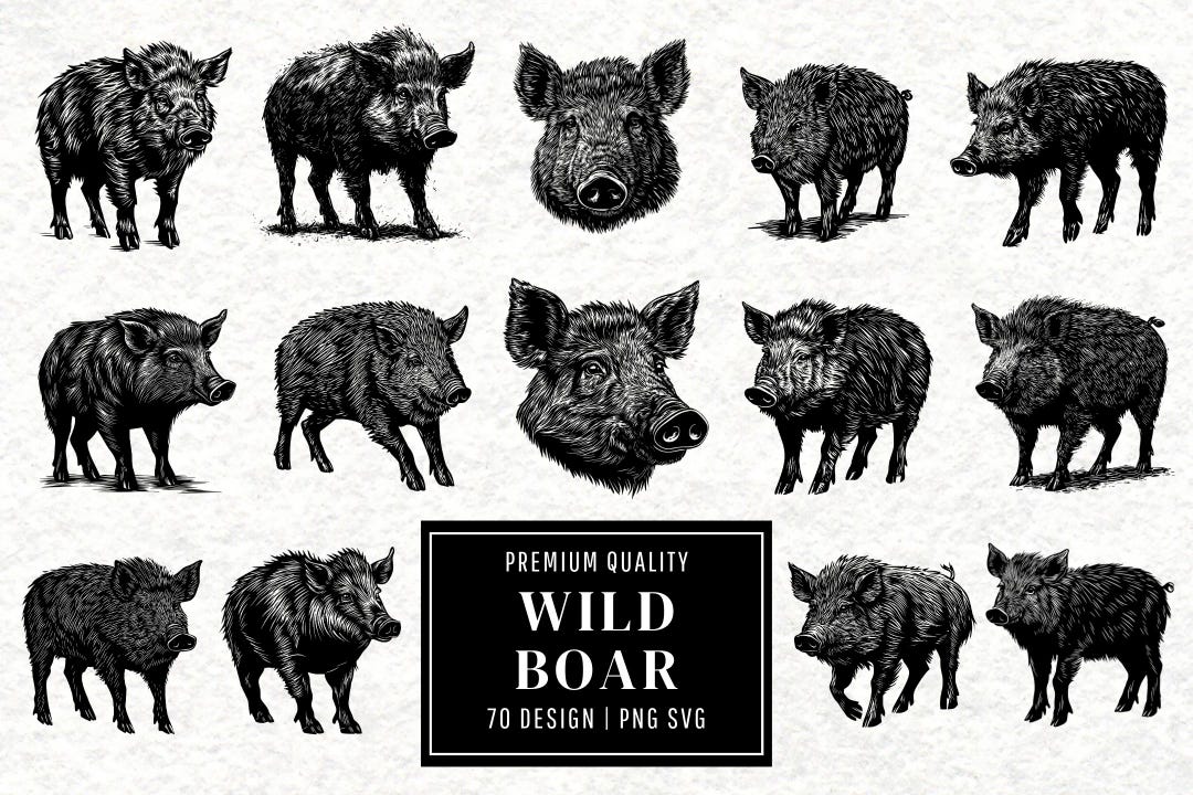 Wild Boar SVG Bundle | Boar Clipart | Forest Animal Vector Designs ...
