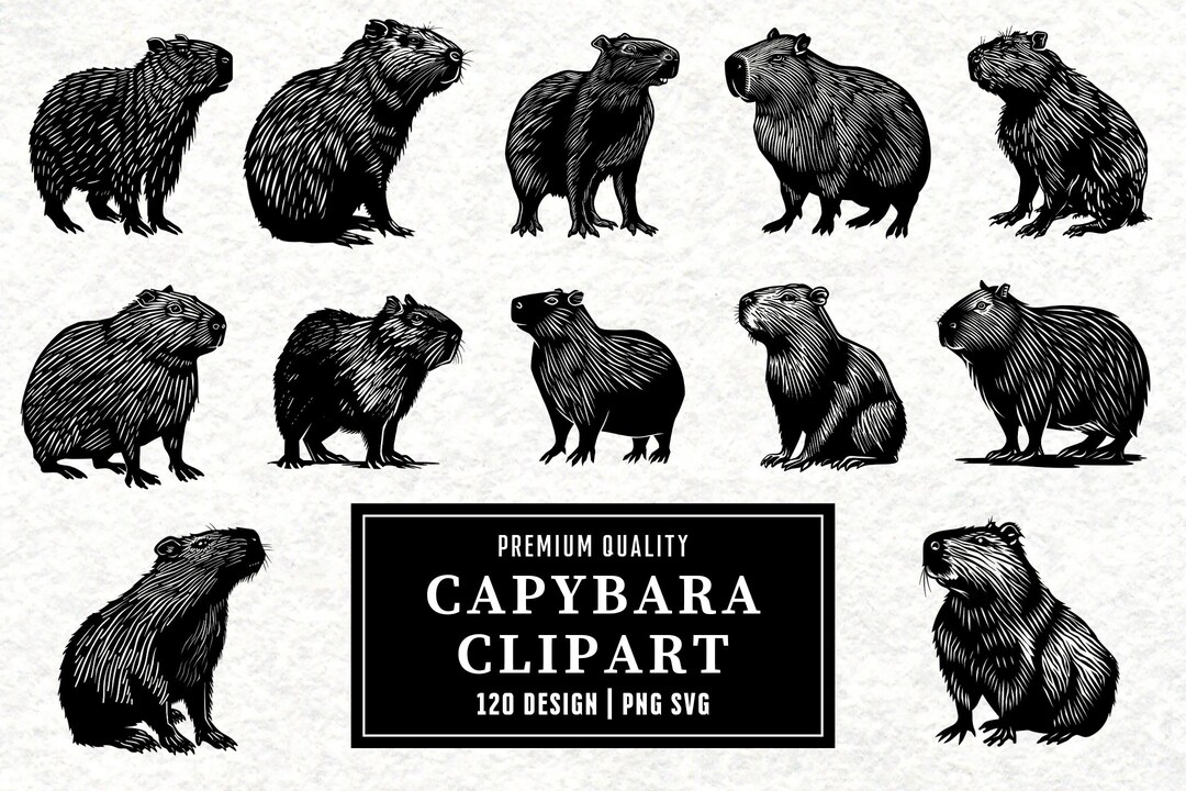 Capybara Clipart Bundle | Rodent Vector Designs (PNG SVG, Digital ...