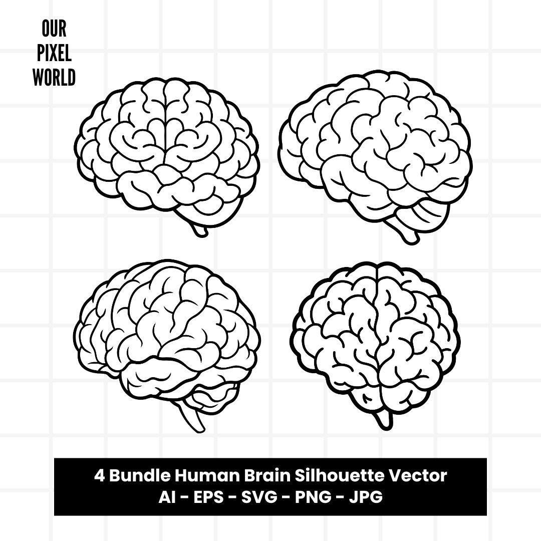 Brain Bundle SVG | Human Brain PNG | Brains Vector Editable Color ...