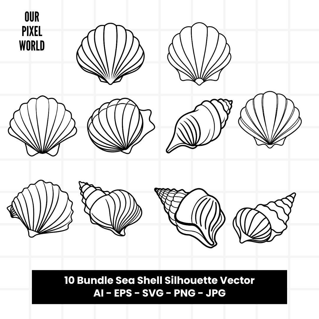 Seashell Bundle SVG | Seashells PNG | Shell Vector Animal | Sea Shell ...