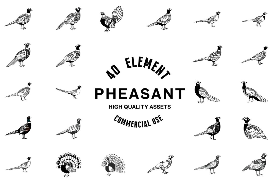 Pheasant SVG Bundle | Pheasant Bird Designs | Pheasant Clipart ...