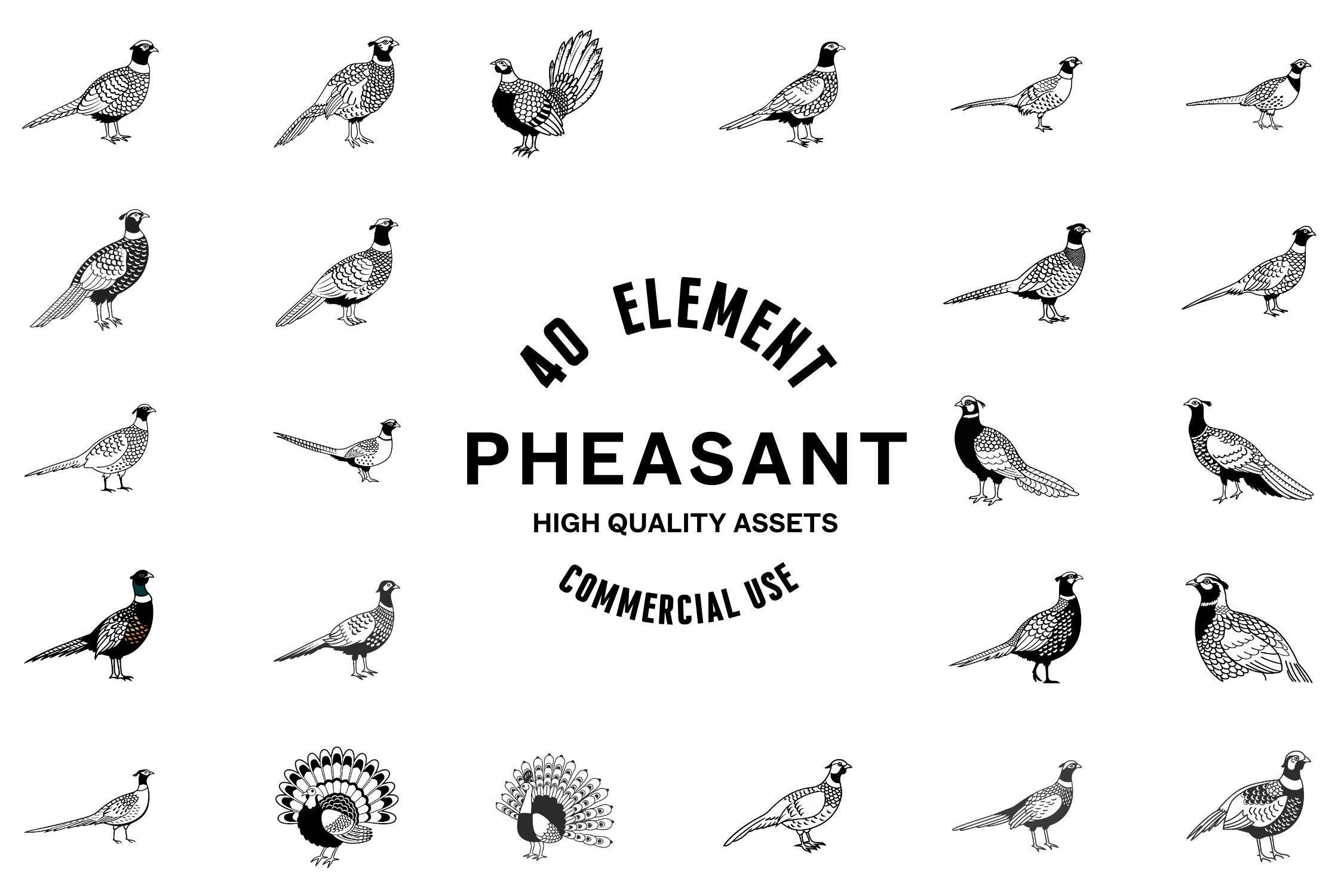 Pheasant SVG Bundle | Pheasant Bird Designs | Pheasant Clipart ...