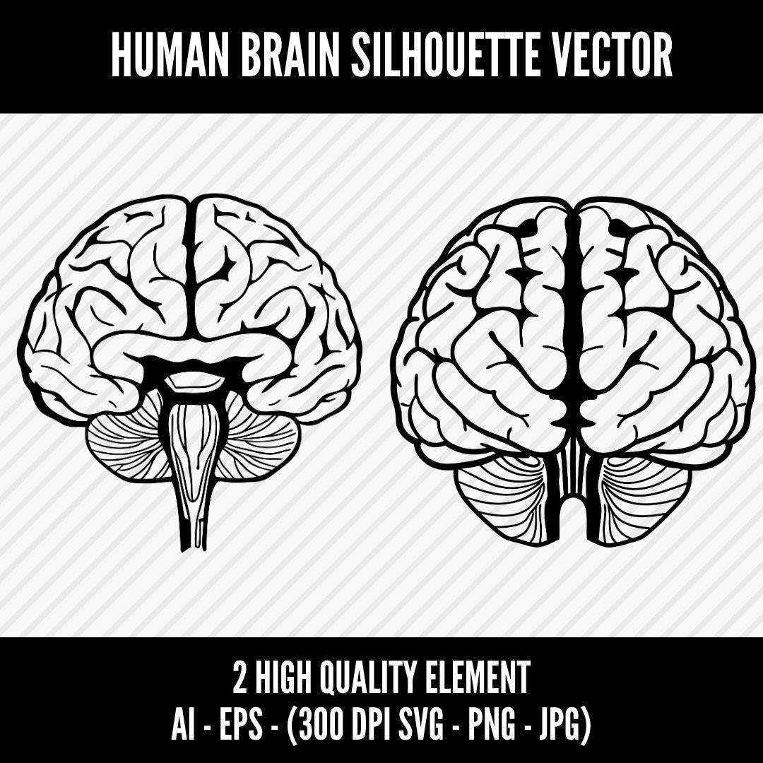 Human Brain SVG | Human Brain PNG | Human Brain Vector | Brain Clip Art ...