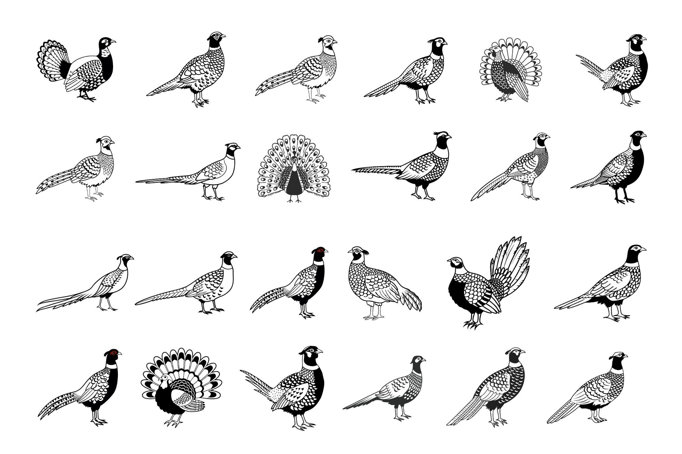 Pheasant SVG Bundle | Pheasant Bird Designs | Pheasant Clipart ...