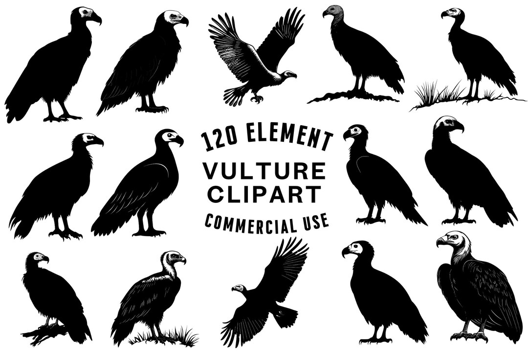 Vulture SVG Bundle | Vulture Clipart | Bird of Prey Vector Designs ...
