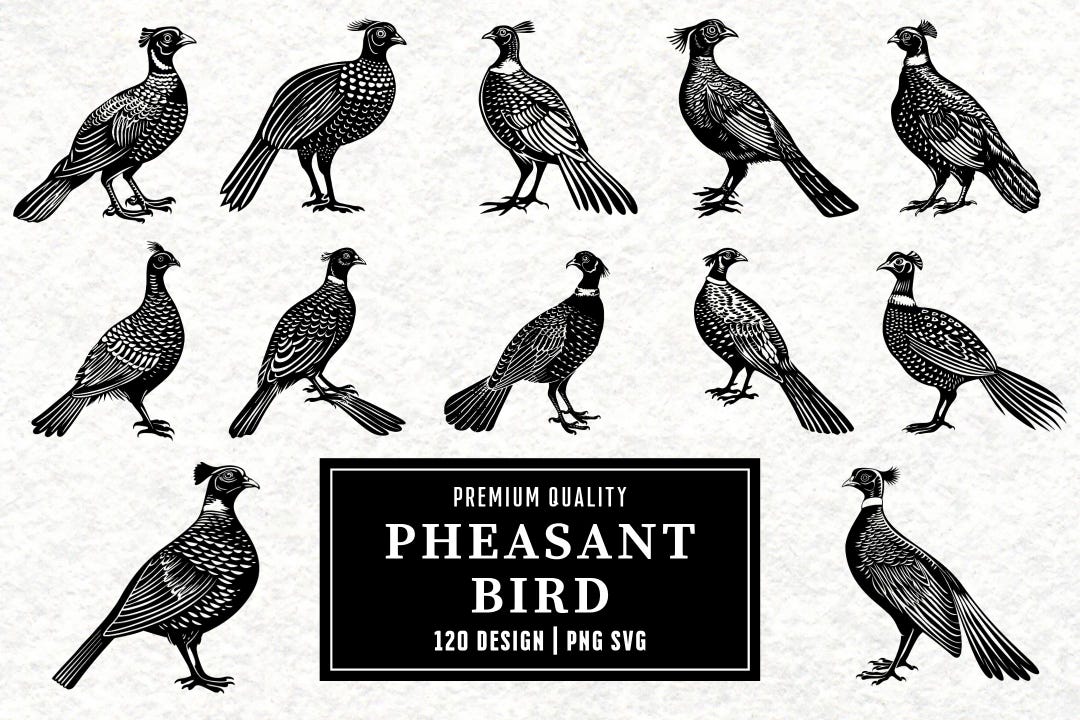 Pheasant SVG Bundle: Game Bird Clipart, Wildlife Silhouette (PNG, SVG ...