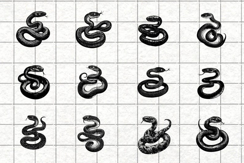 Snake SVG Bundle | Snake Clipart | Reptile Vector Designs | Serpent ...