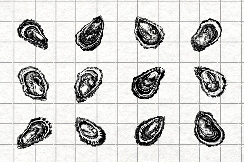 Oyster SVG Bundle: Coastal Shell Clipart, Ocean Vector (instant ...