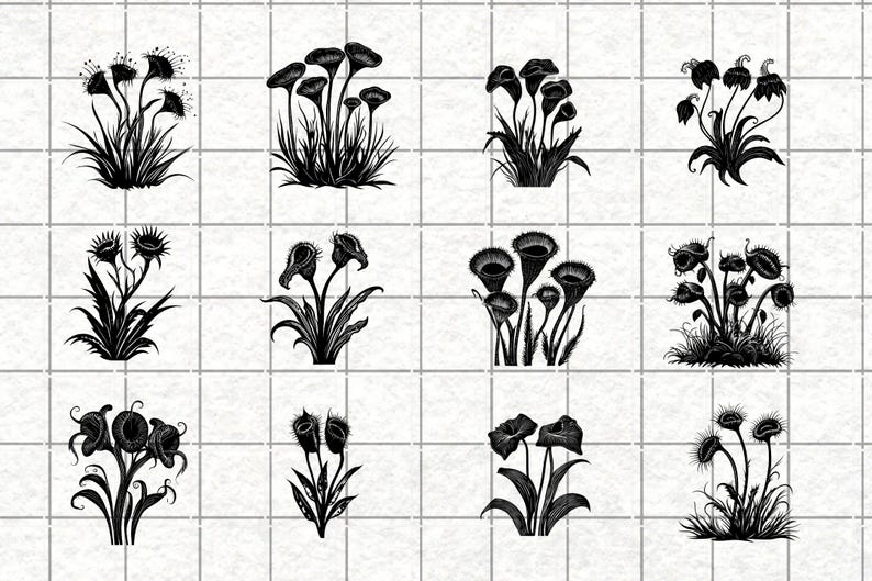 Carnivorous Plant SVG Bundle | Venus Flytrap Clipart | Botanical Vector ...