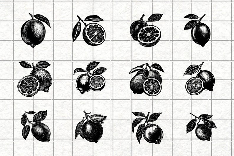 Lemon SVG | Citrus Fruit Clipart | Fresh Lemon Slice | Summer Fruit ...