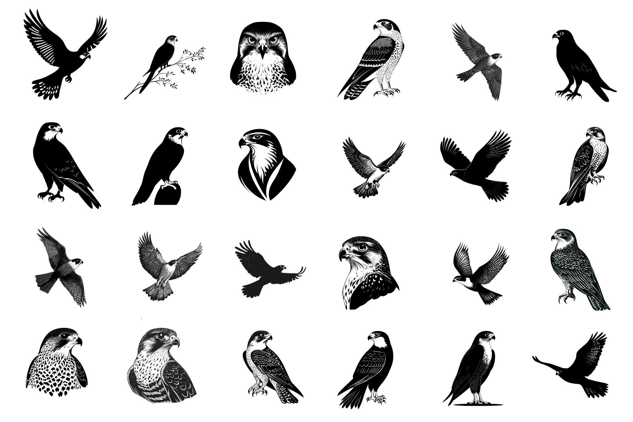 Falcon SVG Bundle | Falcon Clipart | Bird of Prey Vector Designs ...