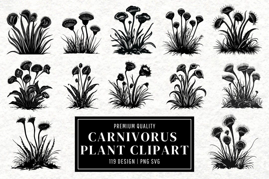 Carnivorous Plant SVG Bundle | Venus Flytrap Clipart | Botanical Vector ...