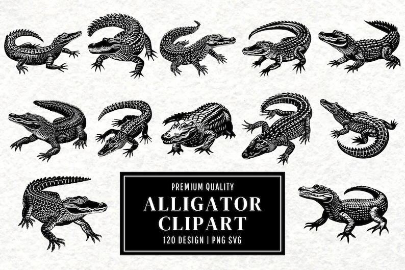 Alligator SVG Bundle | Alligator Clipart | Reptile Vector Designs ...