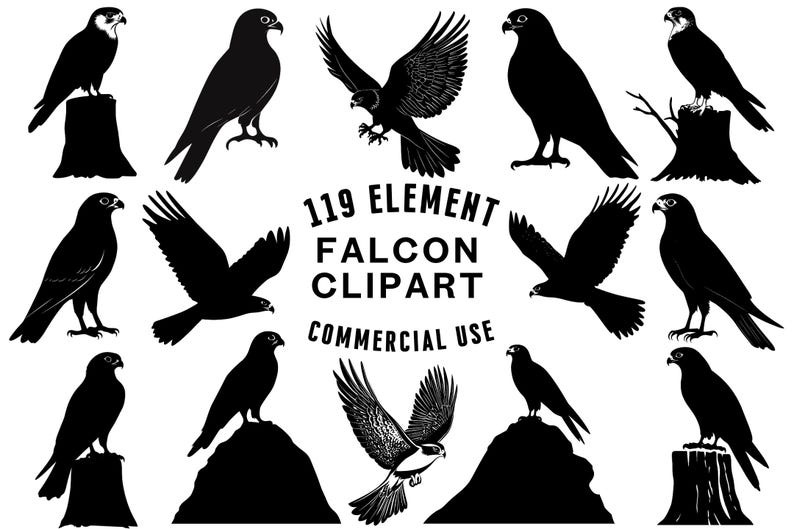 Falcon SVG Bundle | Falcon Clipart | Bird of Prey Vector Designs ...
