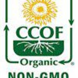 Indus Organics Clove Whole, 12 Oz Bag, Premium Grade, Hand Picked ...