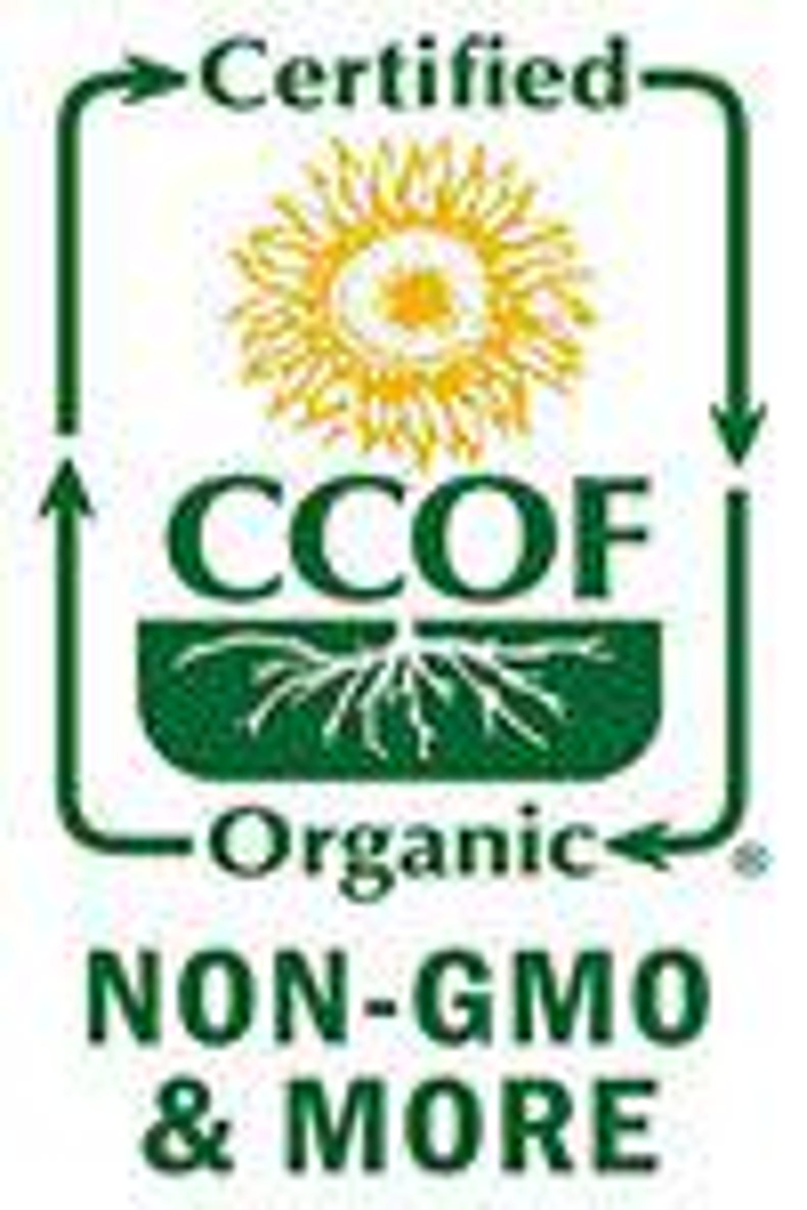 Indus Organics Clove Whole, 3 Oz Bag, Premium Grade, Hand Picked ...