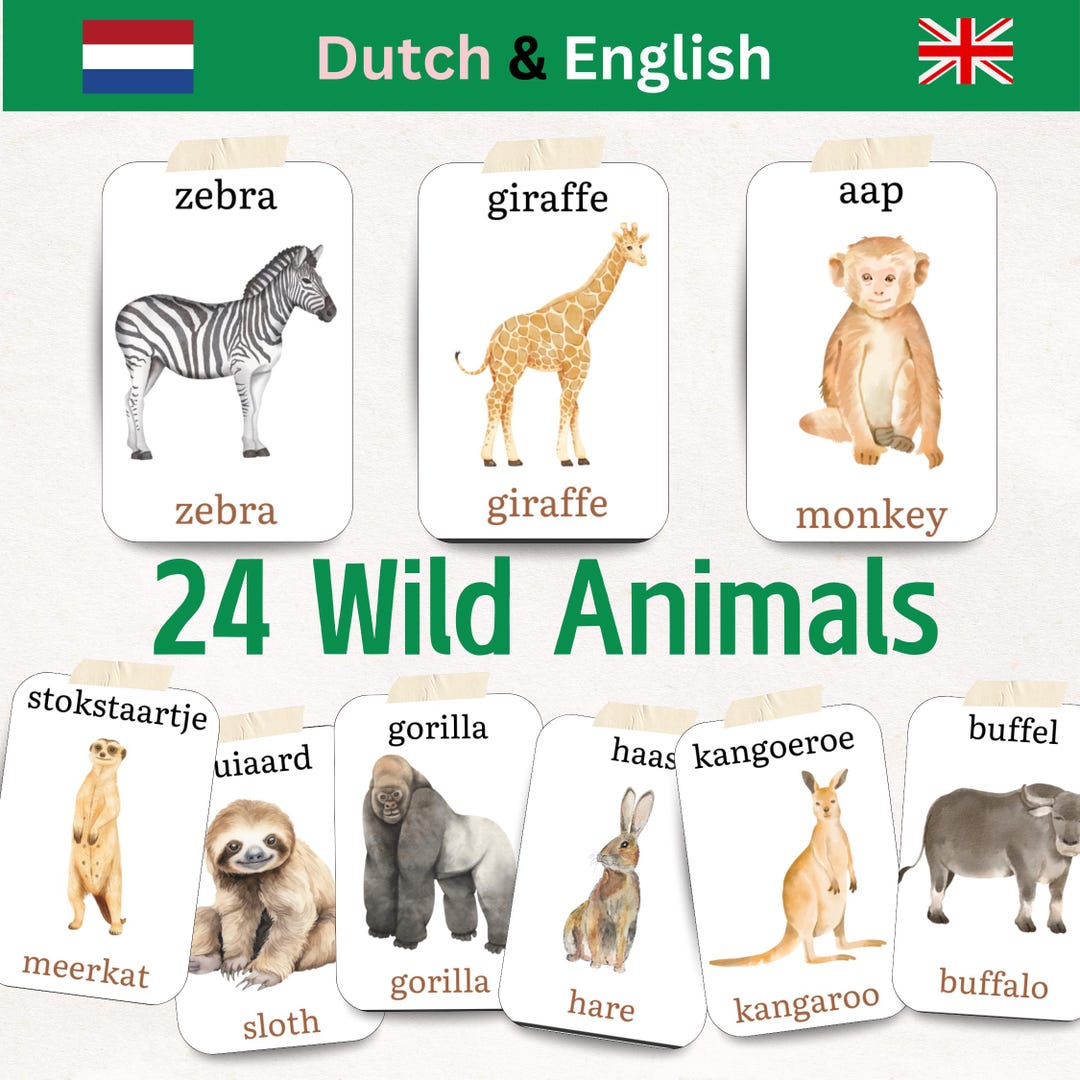 Bilingual Dutch English Wild Animal Flashcards for Kids 24 Watercolor ...