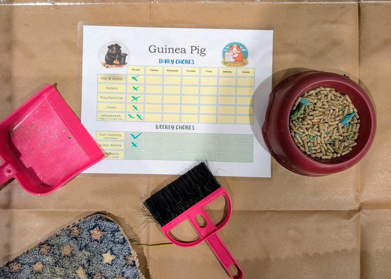 Printable Guinea Pig Chore Chart - Etsy