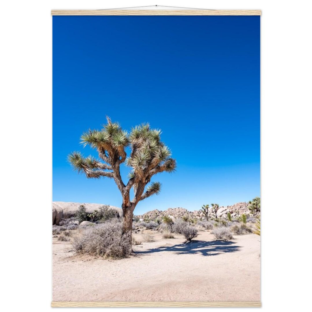 Lone Yucca Brevifolia Poster With Hanger | Joshua Tree National Park ...