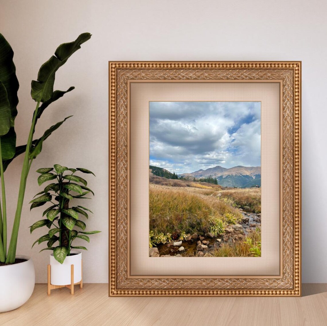 Colorado Photography, Mountains and Nature Landscape | Digital Print ...