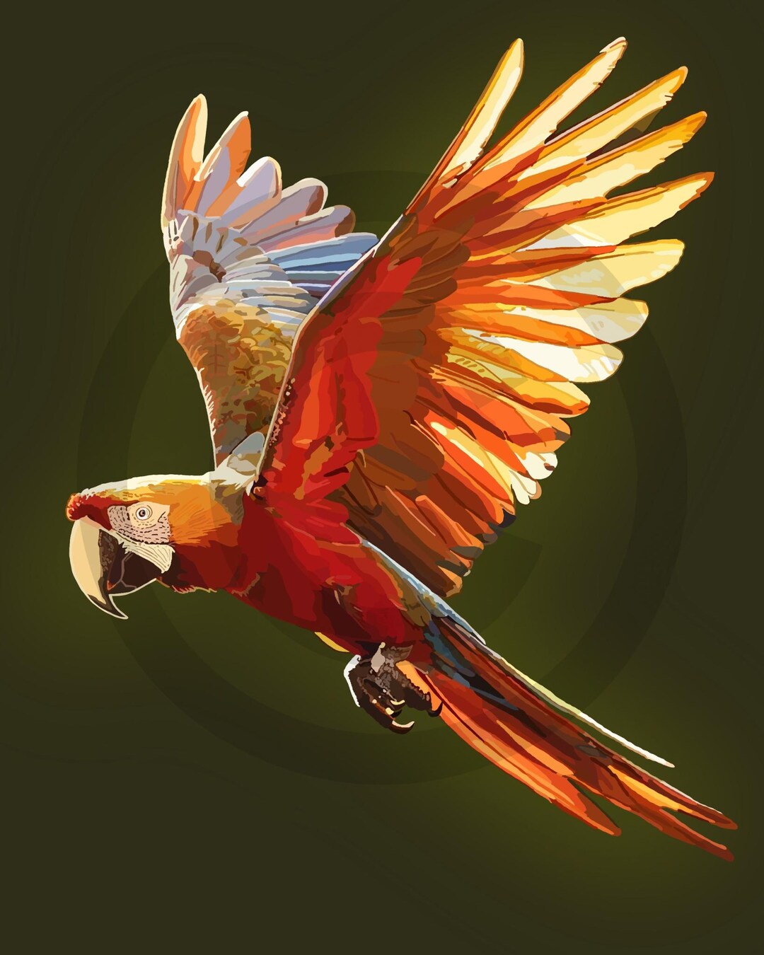 Digital Download Art Print Flying Parrot Bird Macaw 8x10 Simple Red ...