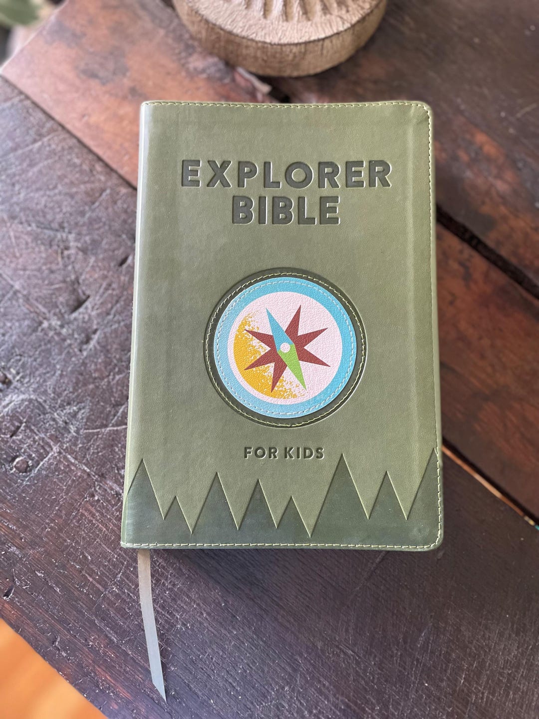 Bible-csb- Hand Tabbed, Explorer Bible for Kids, Olive Green - Etsy